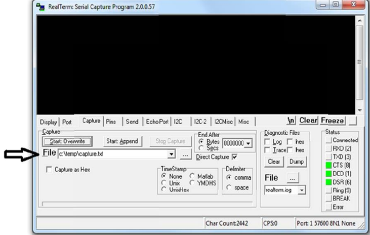 Serial Console - RealTerm - CEG5203 Assignments